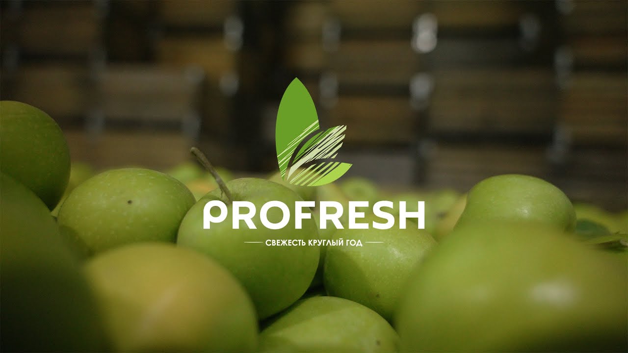 Компания PROFRESH GROUP: преимущества и этапы нашей работы - YouTube