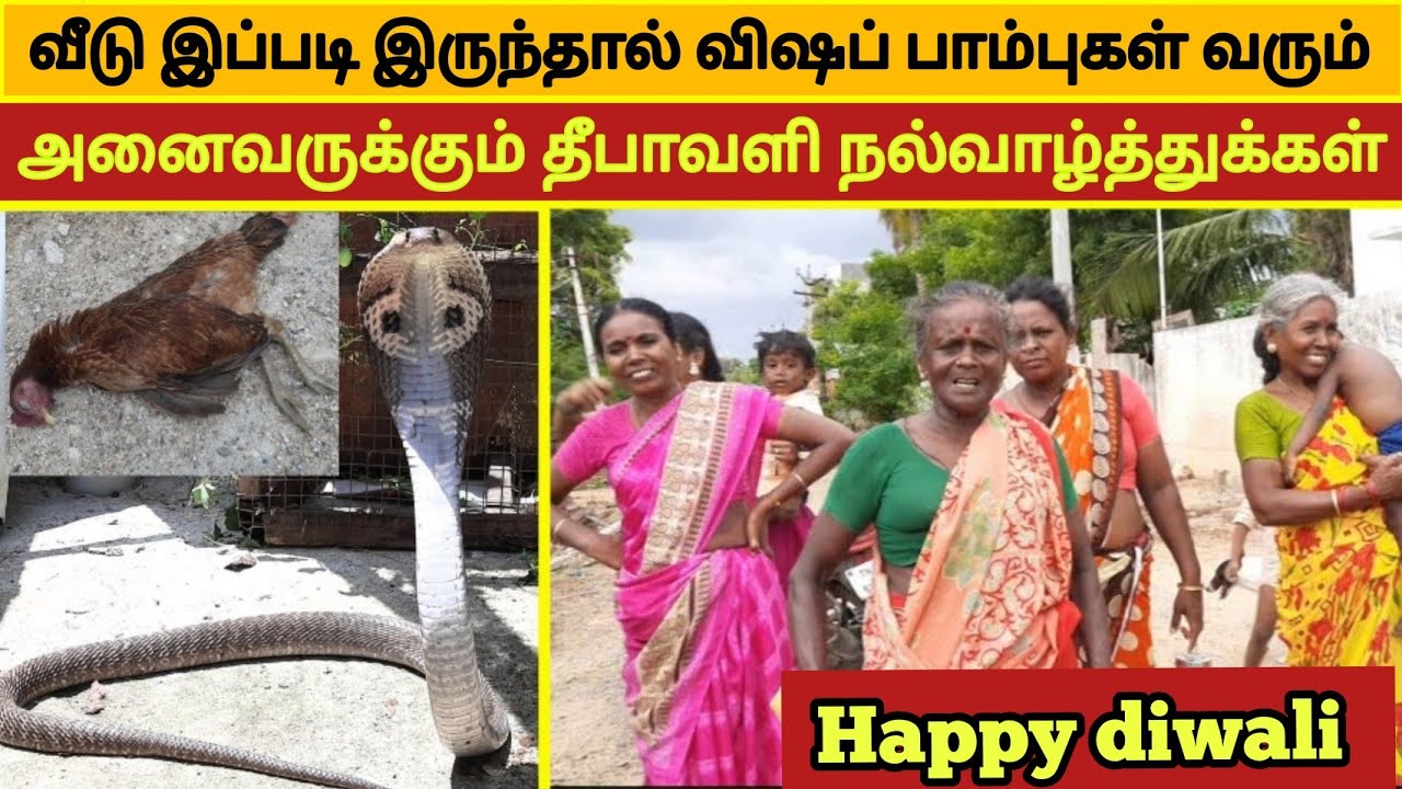 இதுபோல் விஷப்பாம்புகள் நம் வீட்டிற்கு இதை தேடி வரும் கவனம் | happy ...