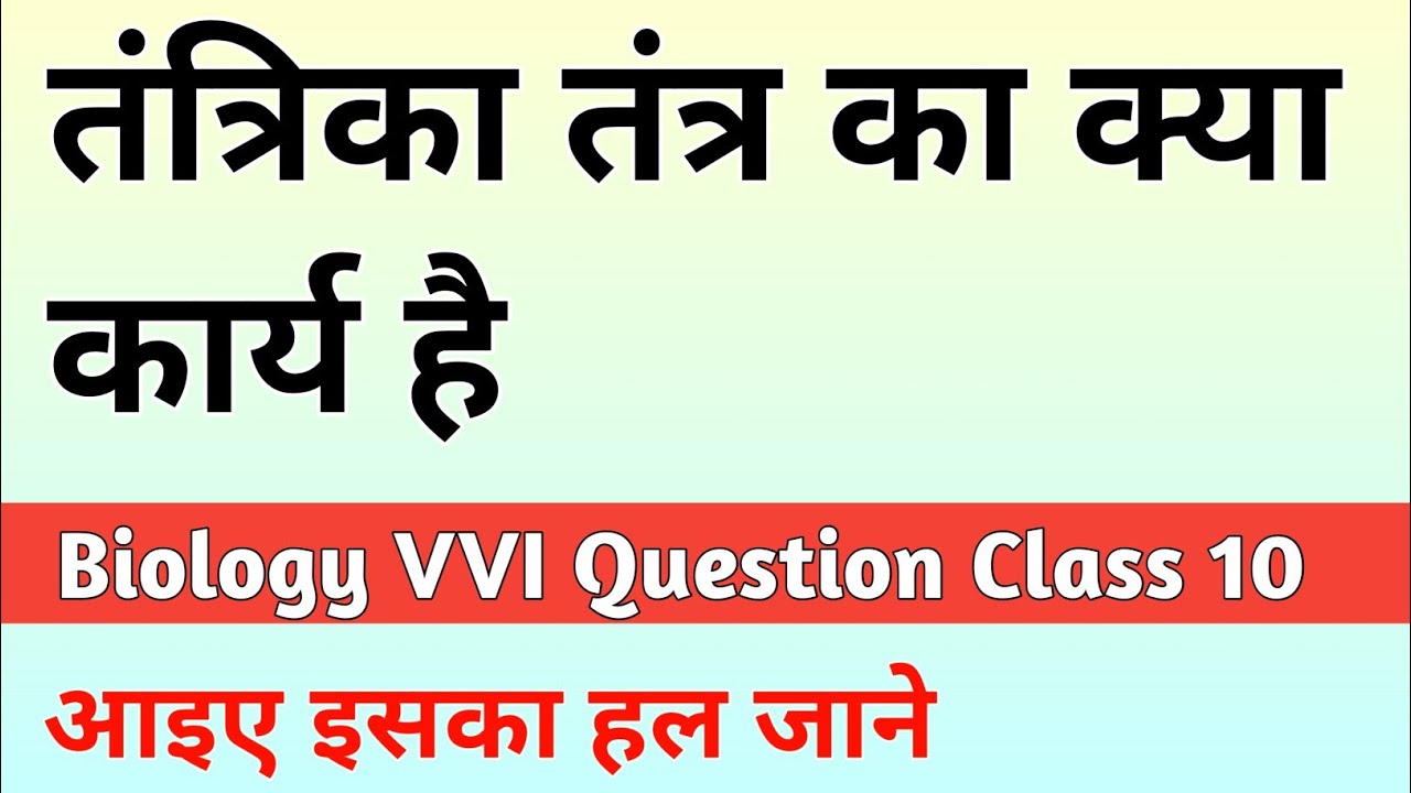तंत्रिका तंत्र का क्या कार्य है | tantrika tantra ka kya karya hai ...