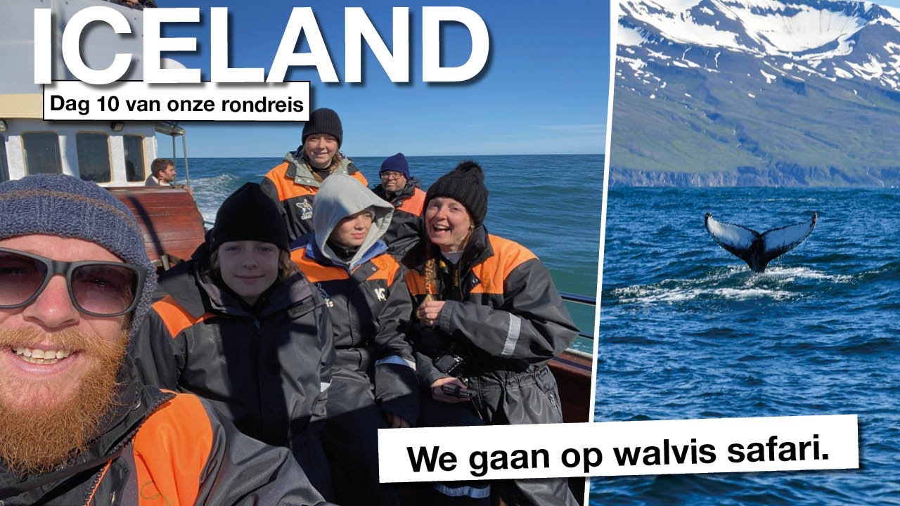 Walvis Safari in IJsland! Magie op Zee! - YouTube