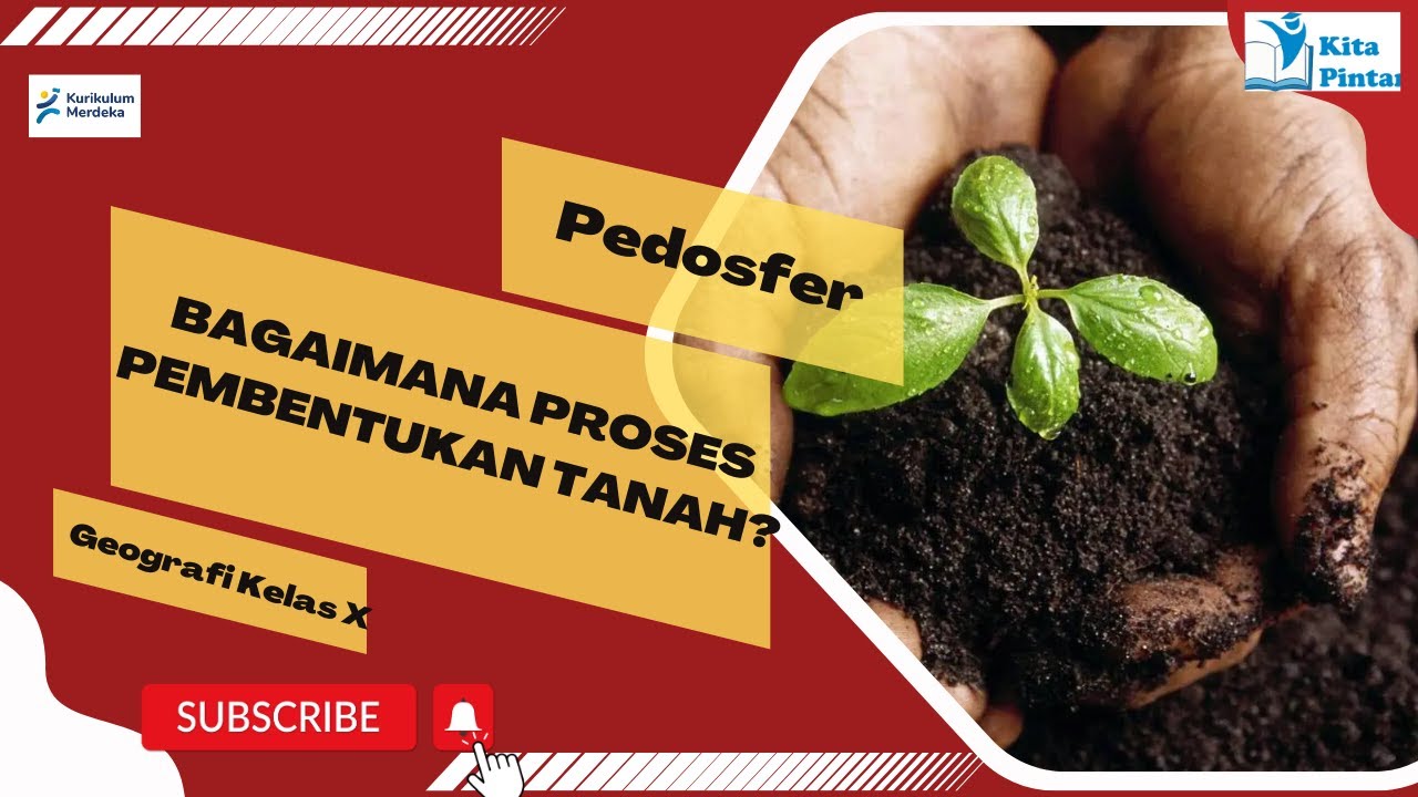Pedosfer (Proses Pembentukan Tanah)/ Geografi Kelas X/ Kurikulum ...