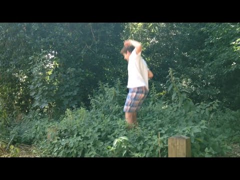 JUMPING INTO NETTLES - NETTLE OLYMPICS - YouTube