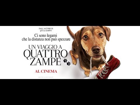 Un Viaggio a Quattro Zampe - Trailer italiano | Dal 14 marzo al cinema