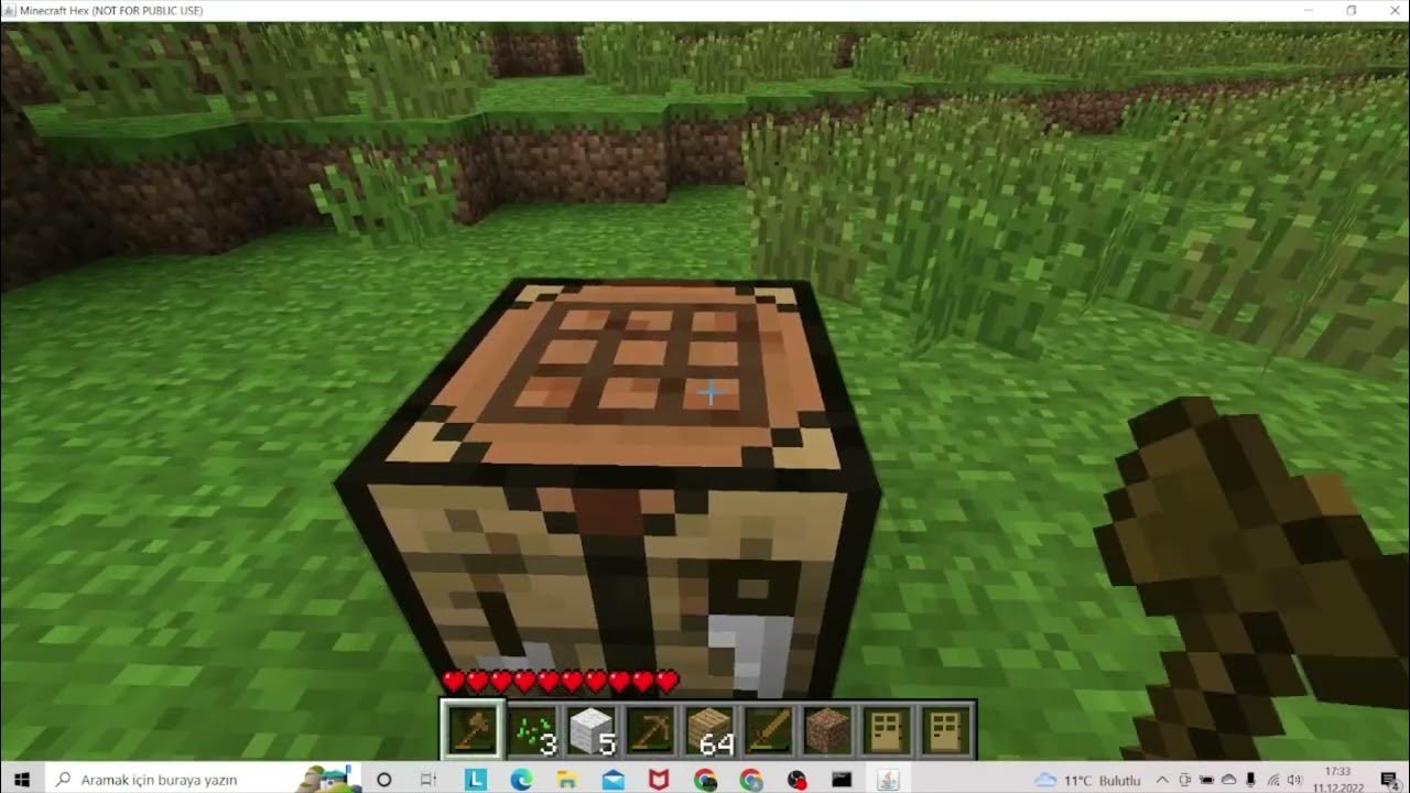 Minecraft Hex remastered version 1.bölüm - YouTube