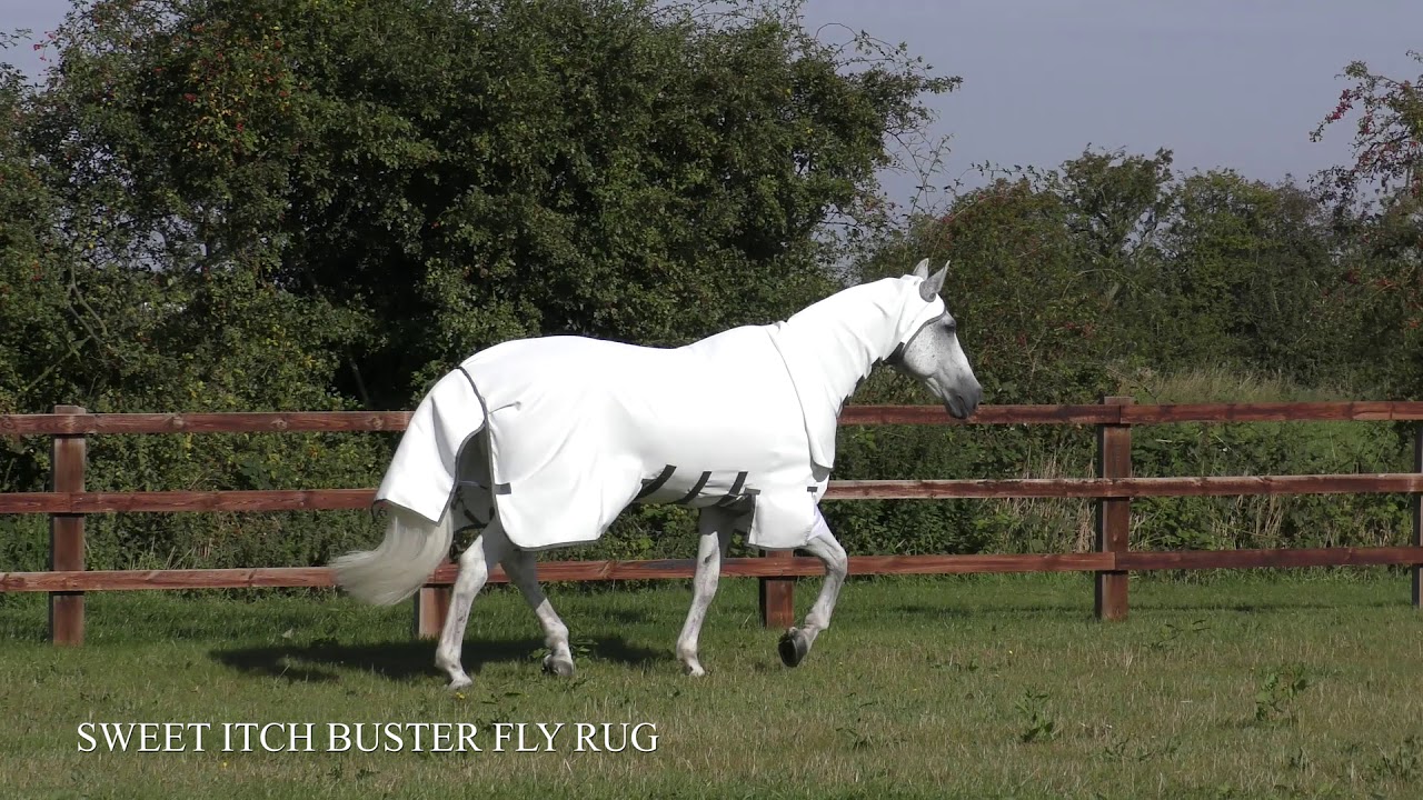 Sweet Itch Buster Fly Rug with Belly Flap - YouTube