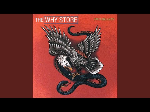 The Why Store – Two Beasts (1998, CD) - Discogs