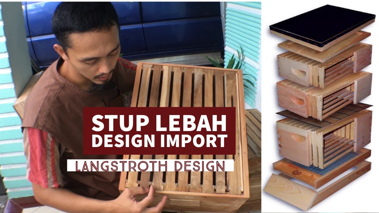 langstroth bee hive, setup asal Eropa #langsthoth #beehive #setup lebah ...