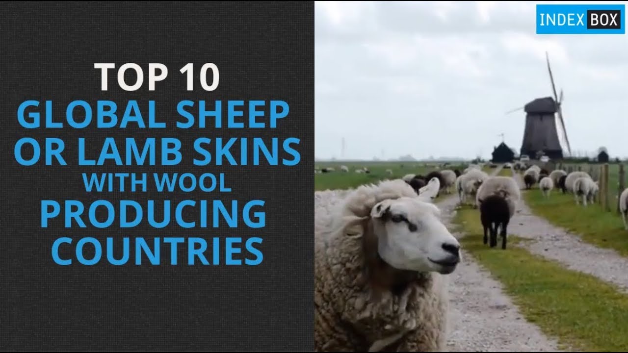 Top 10 Global Sheep Or Lamb Skins With Wool Producing Countries - YouTube