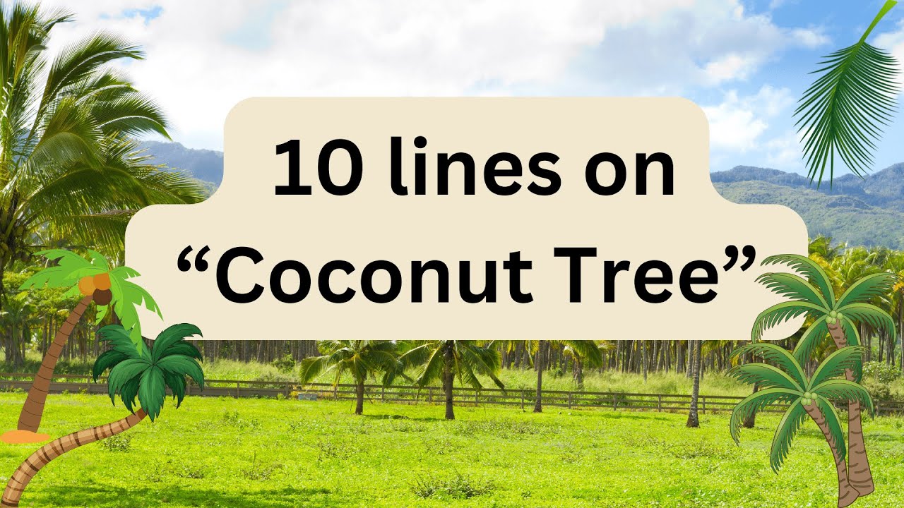 10 Lines On Coconut Tree 🌴 | Essay On Coconut Tree In English | Essay ...