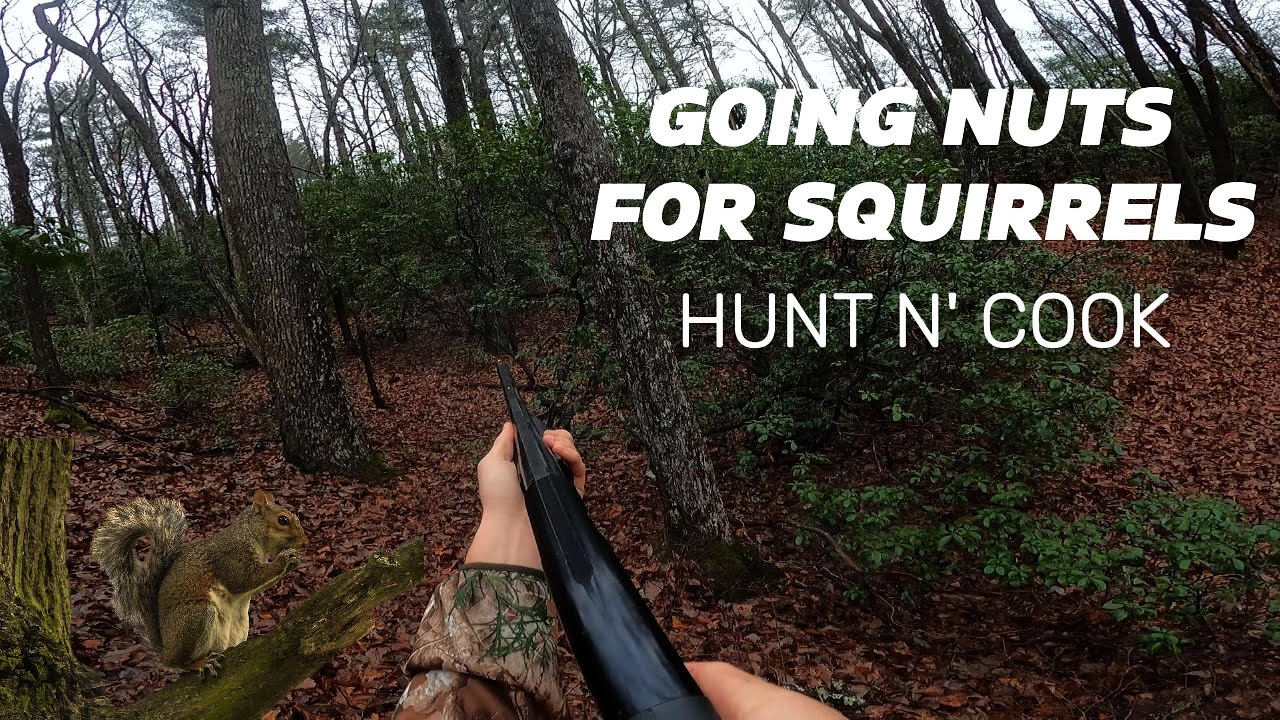 Going NUTS for Squirrels **Hunt N' COOK** - YouTube