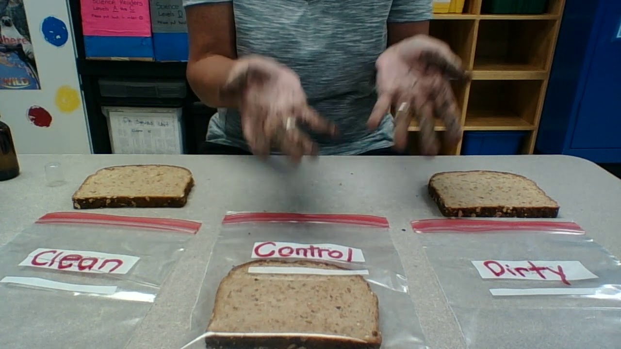 Bread Experiment: Sep 1, 2020 2:02 PM - YouTube