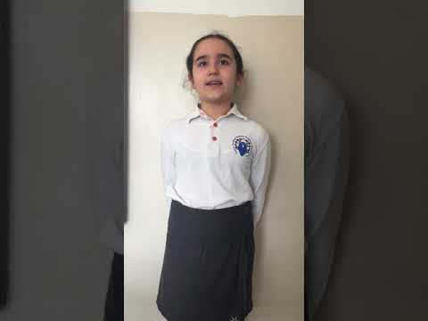 SCP-J-38 BERRA GÖZDER