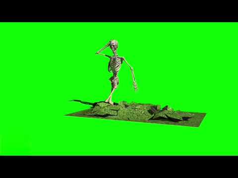 GREEN SCREEN İSKELET ANİMASYONU