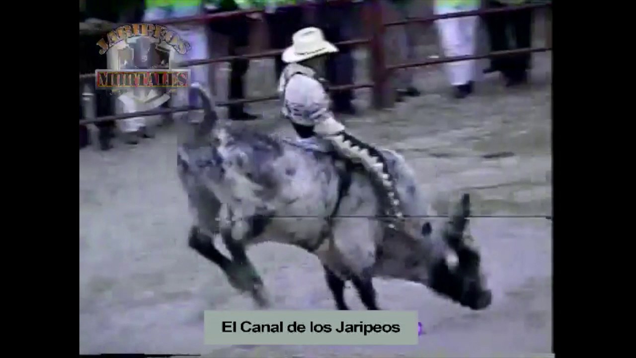 UN TORO LOCO!!! con cancion de Tamborazos Zacatecanos (El Troquero ...