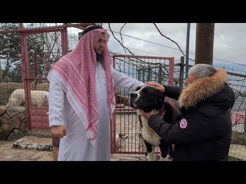 ALABAİ BOOS’U  KATAR MİLYARDERİNE 1.5 MİLYONA SATTIM