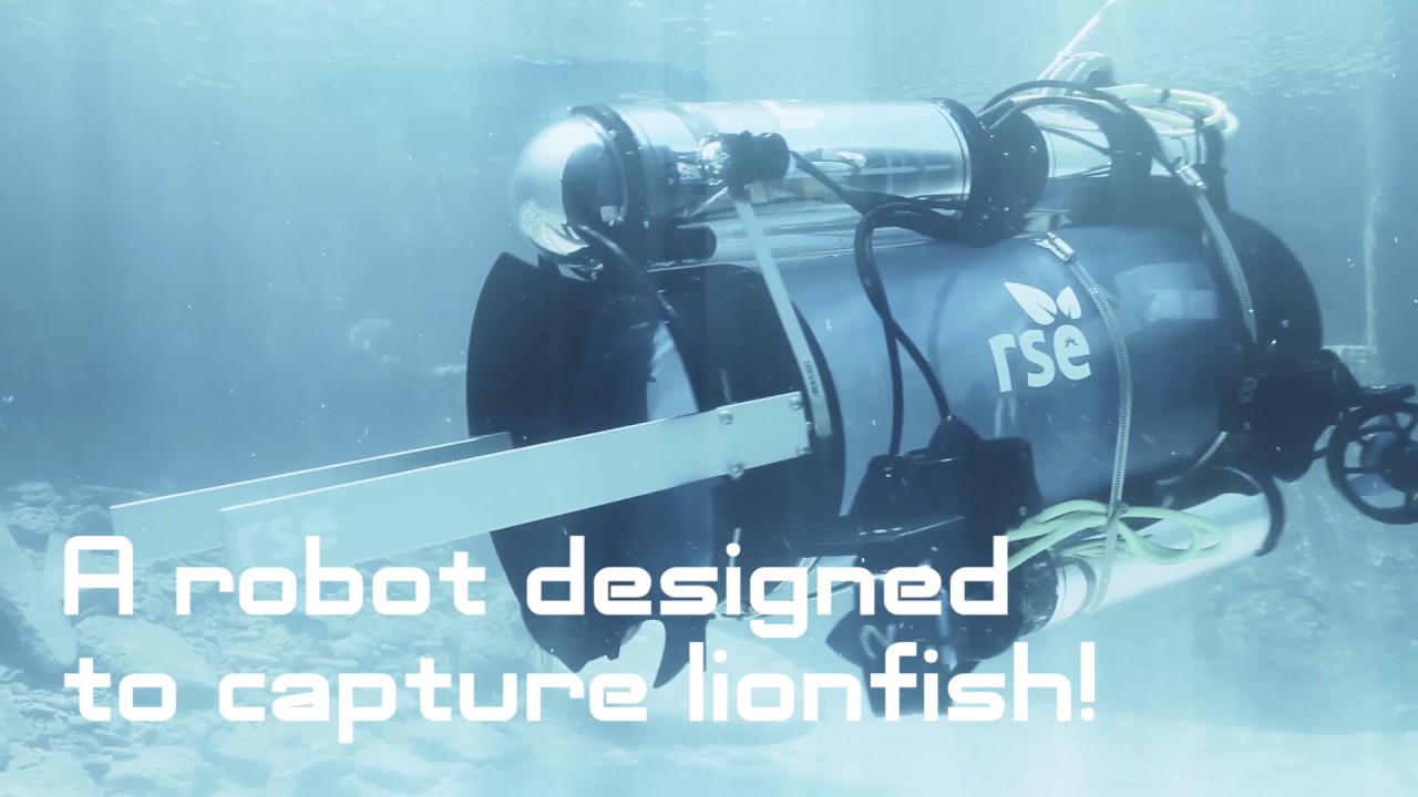 Help Protect Our Oceans | RSE - Robots in Service of the Environment ...