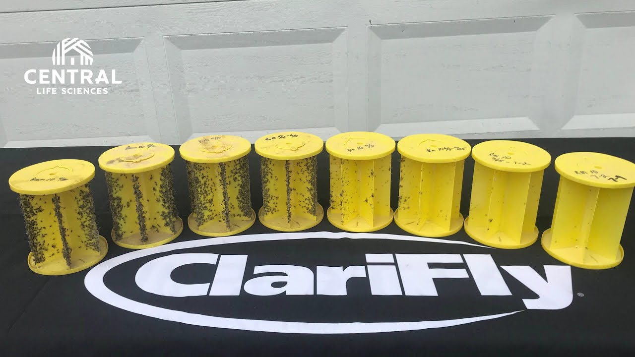 Improve the Biosecurity of Your Operation | ClariFly® Larvicide - YouTube
