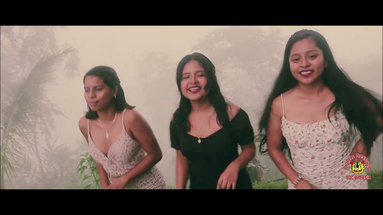 Los Diablitos Costeños - Debajo Del Arbolito (Video Oficial) - YouTube Music