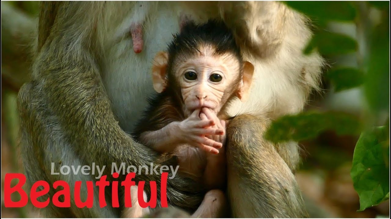 Amazing! Mom Yari Keep Protected With Supported Behind Baby Yohann ...
