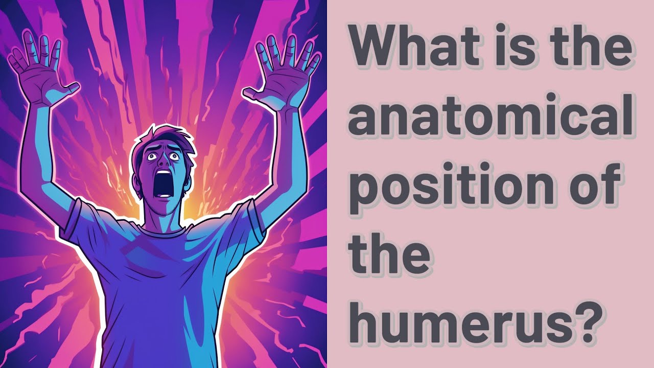 What Is The Anatomical Position Of The Humerus YouTube What Is The Anatomical Position Of The Humerus YouTube