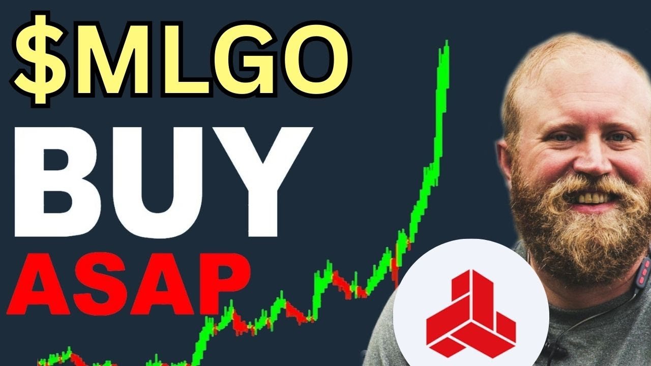 MLGO Stock TUESDAY UPDATE! (The Exact Answer!) MicroAlgo best stock ...