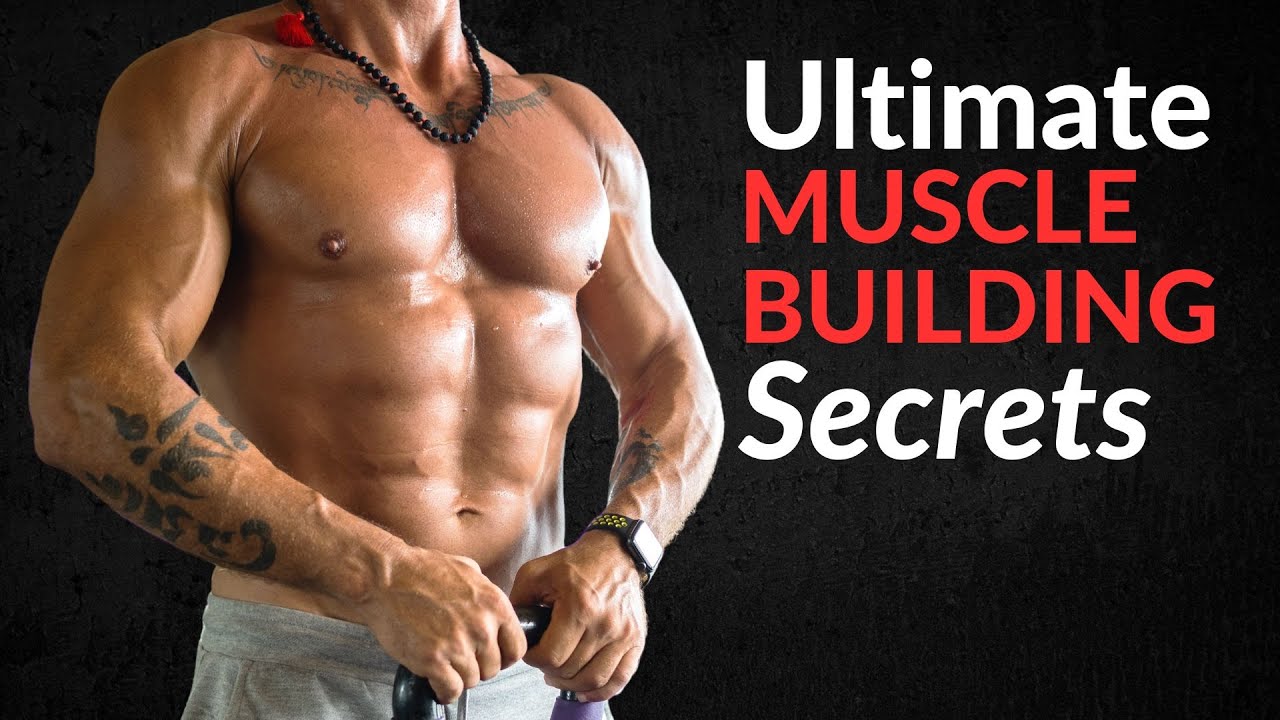 Get RIPPED with the Top Fitness Expert's Muscle Building Secrets - YouTube