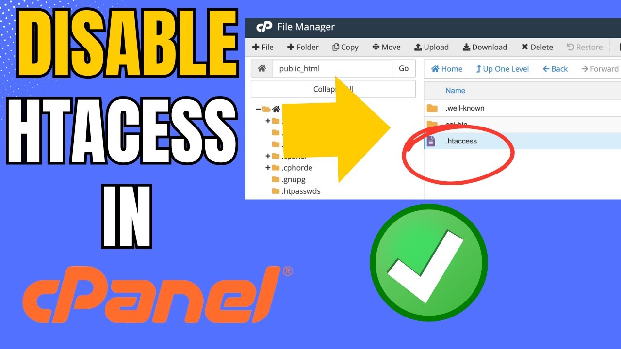 How To Disable Htaccess File In Cpanel Cpanel Tutorials Youtube 2331