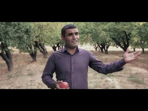RUSTAM GEVORGYAN MRE - HAYRENIQ 2019