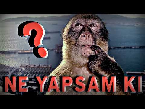 KAPAK FOTOSU BULAMADIM KI NAPCAM. . . - Rocket League