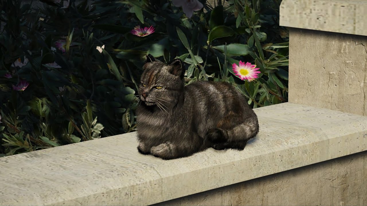 GTA 5 Another sitting cat location - YouTube