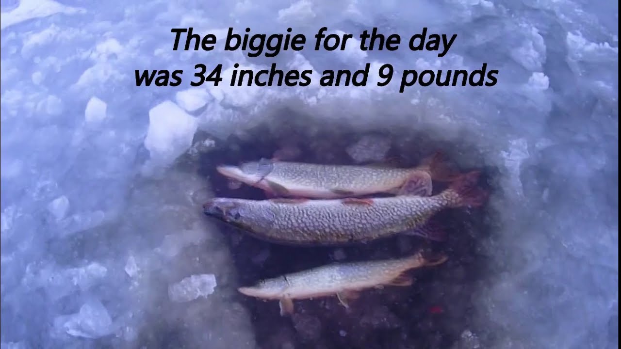 Pike Spearing 1 3 2019 Shaky Shaft Addicts - YouTube