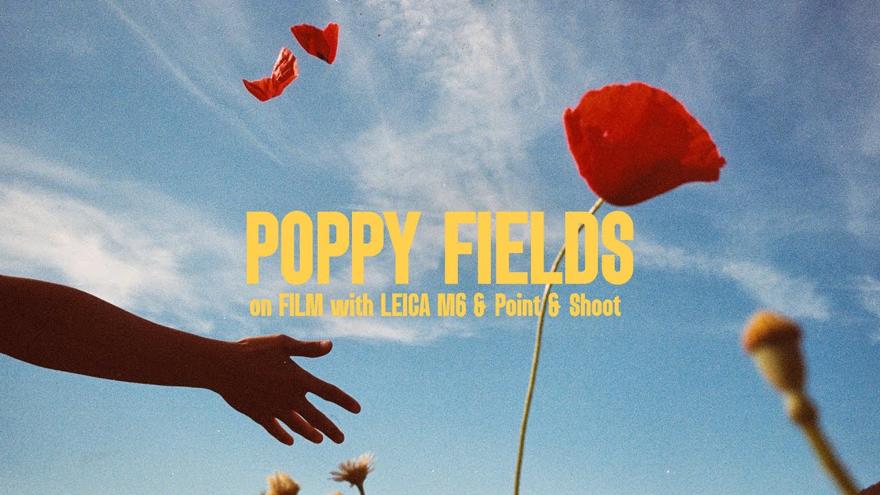 Poppy Fields on #35mm Slide Film | Leica M6 & Point-and-Shoot Camera ...