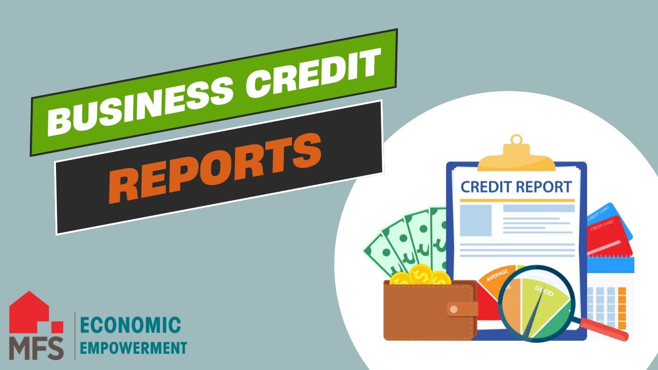 Business Credit 101 - Video 4: Business Credit Reports Explained - YouTube