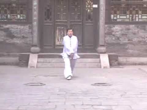 Dai Family - Xinyi  - 10 Forms and Shapes