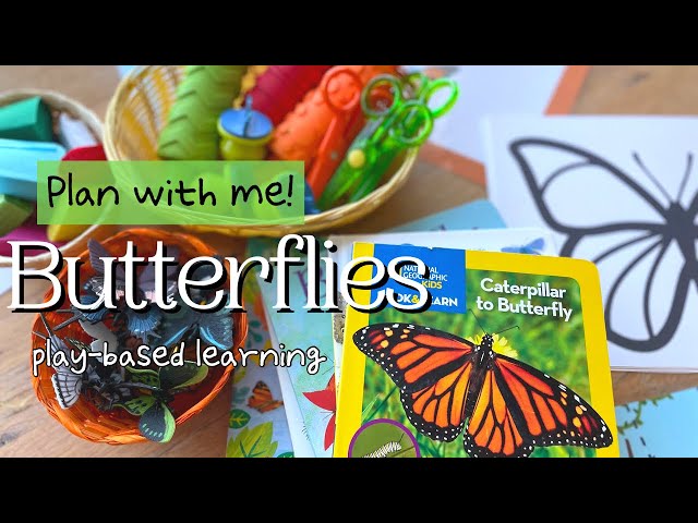 Butterfly Life Cycle Lesson Plan For Preschoolers 7 Simple Butterfly