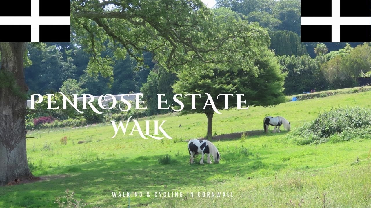 Walking &Cycling in Cornwall.. Penrose Estate Walk. - YouTube