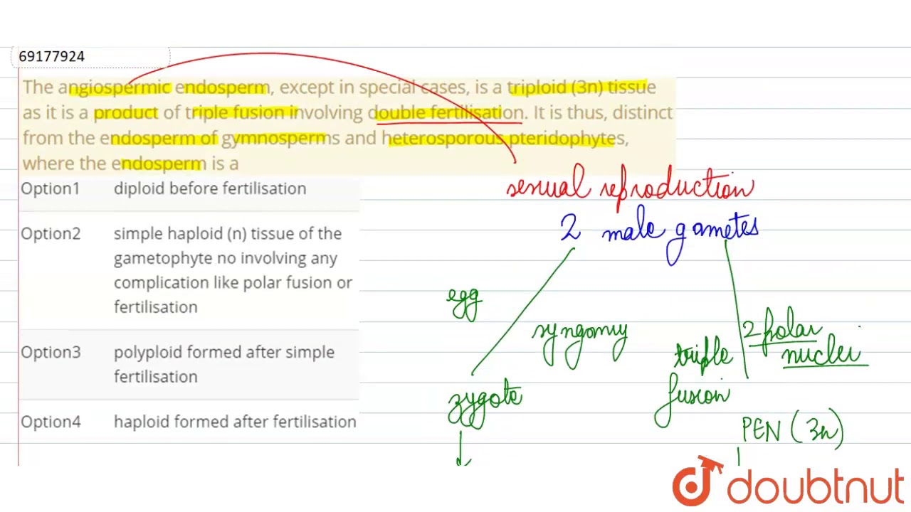 The angiospermic endosperm, except in special cases, is a triploid (3n ...