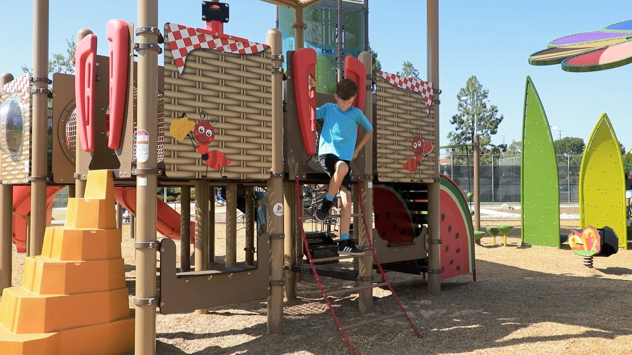 Chain Ladder w/Vibe® Handholds - PlayBooster® - Landscape Structures ...