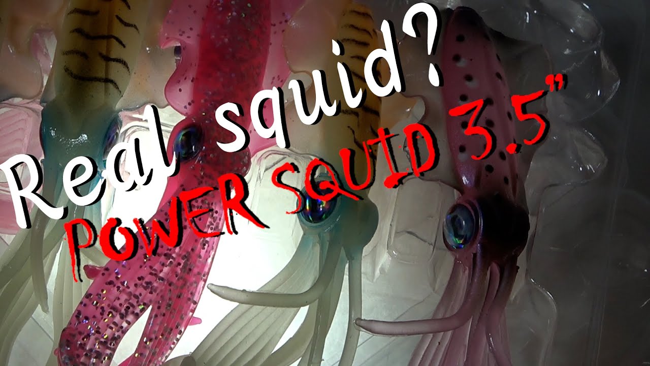 POWER SQUID 3.5" - YouTube