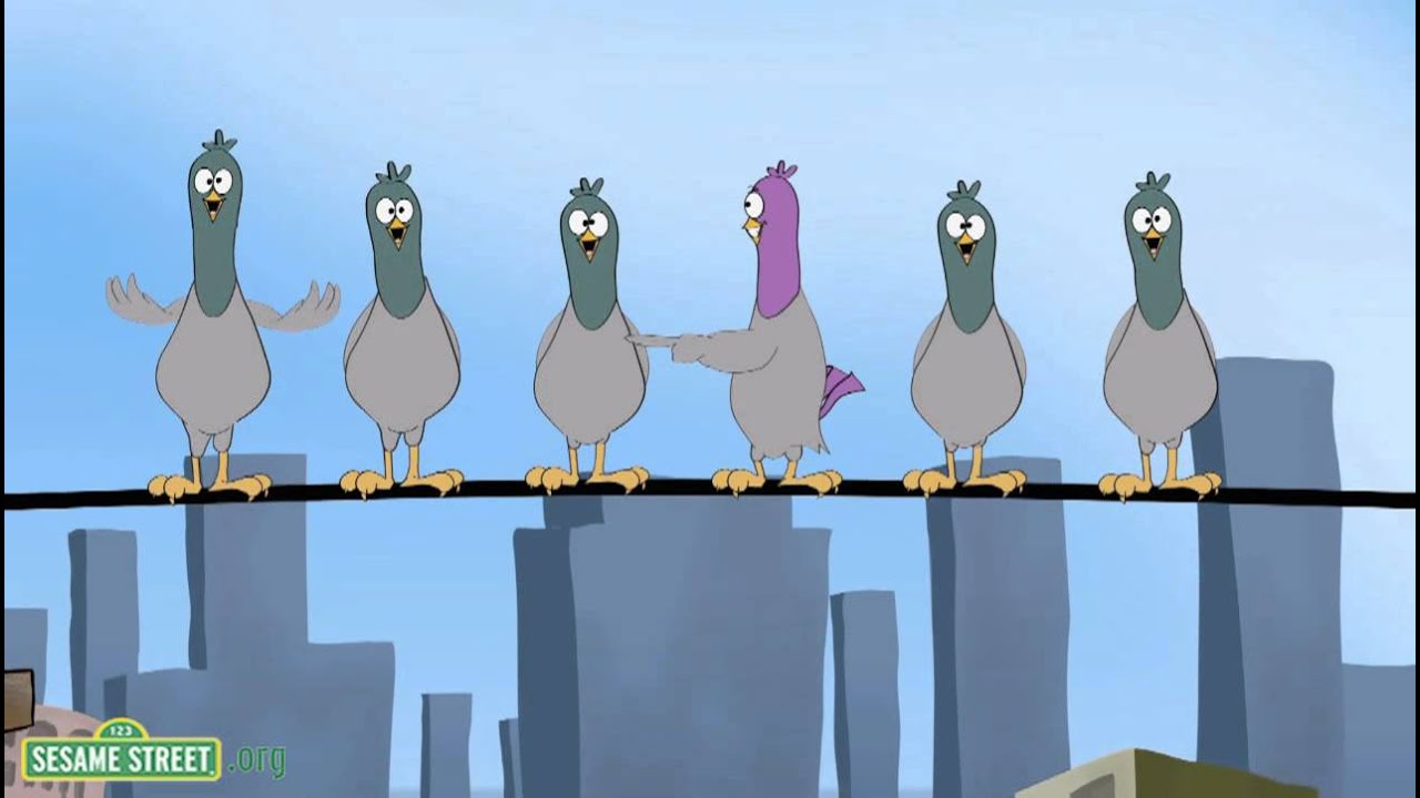 Sesame Street: Song: 9 Pigeons - YouTube