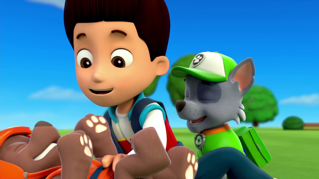 Pups Run Over To Ryder - Paw Patrol - YouTube