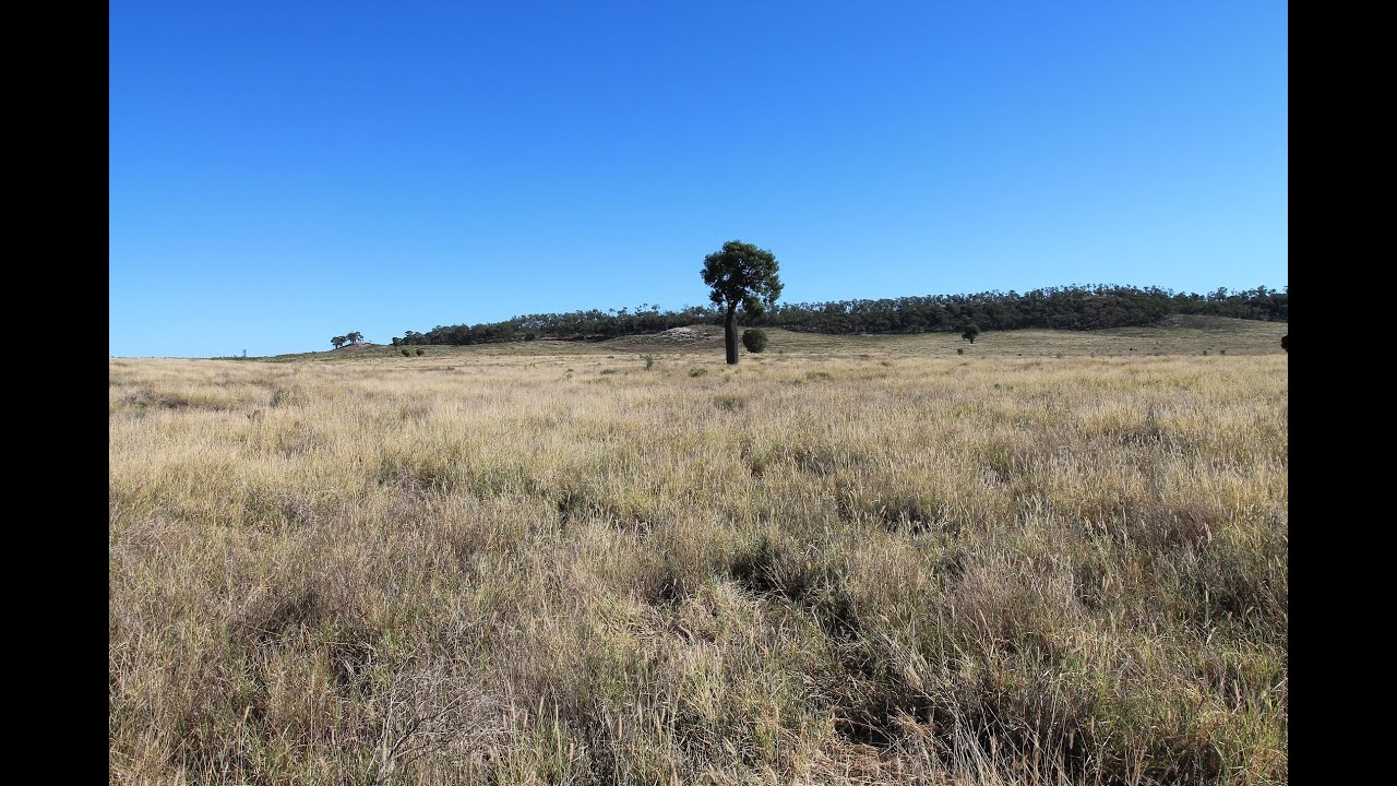 "Caledonia", 1003 Nebine Road, Morven, Qld. Marketed by Bruce Douglas ...
