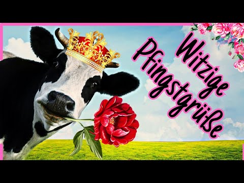 FROHE PFINGSTEN mit Humor 🤭 - Lustige Pfingstgrüße 🐮 für Whatsapp - YouTube