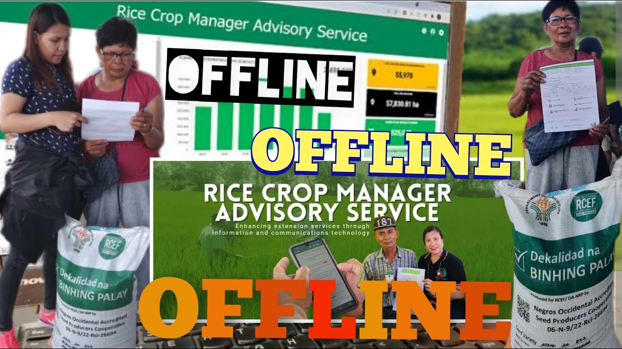 Rice Crop Manager Advisory Service Offline Mode - YouTube
