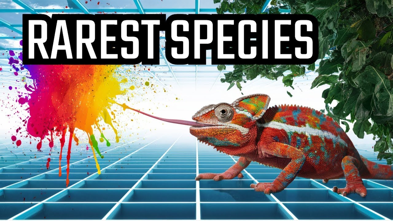 The Most Bizarre Land Animals - YouTube