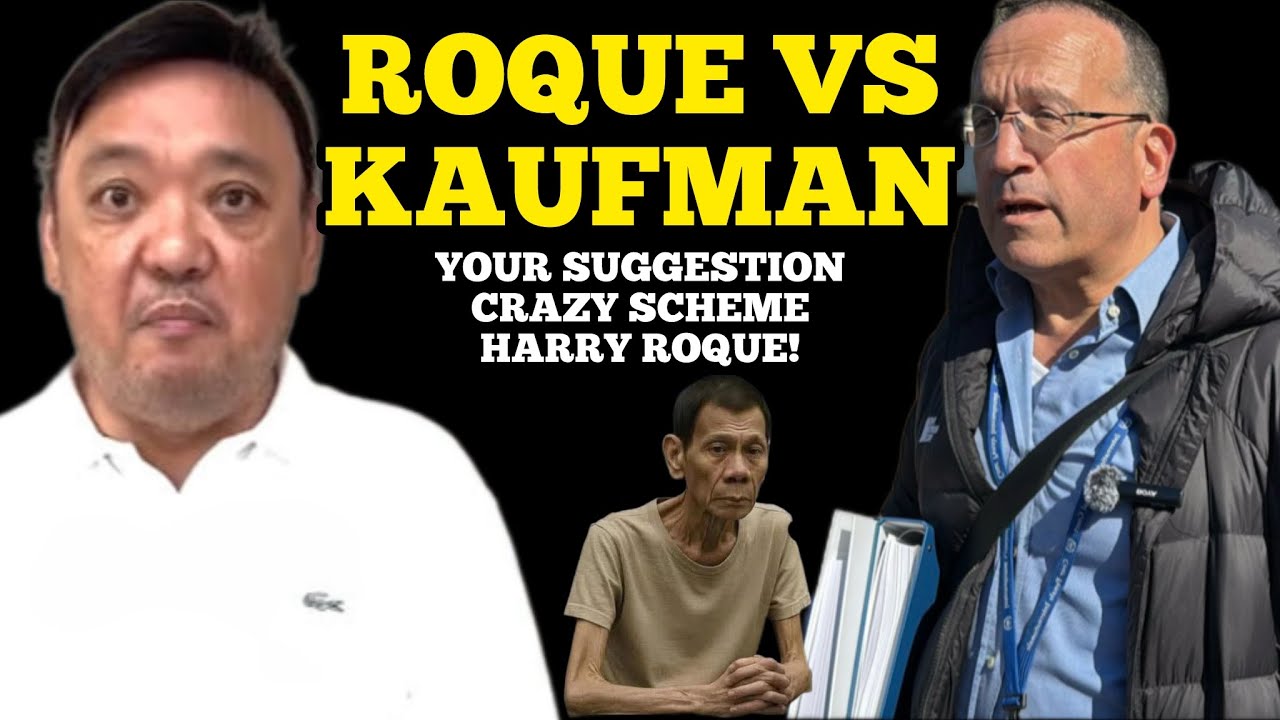 HARRY ROQUE TINAWAG NA KABALIWAN NI KAUFMAN ANG MGA SUHESTYON NI ROQUE ...