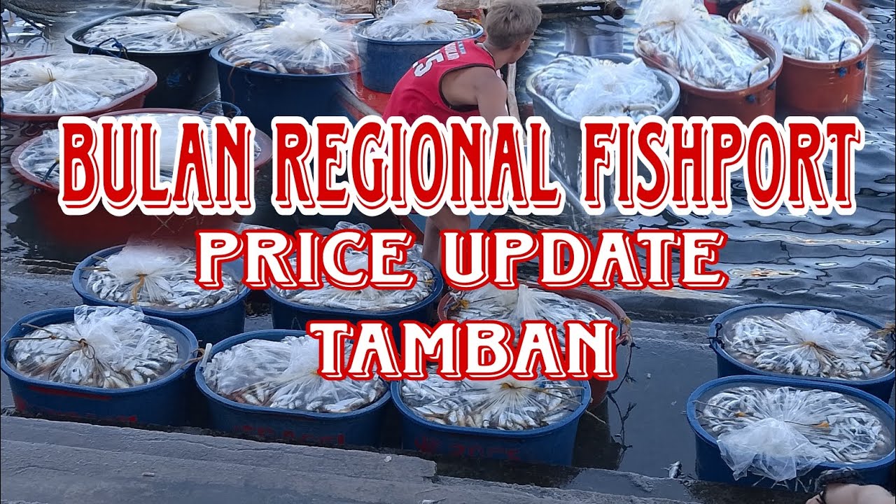 LAWLAW TAMBAN SARDINES // LAMAK NANAMAN SA FISH PORT//TEAM KABISIG ...