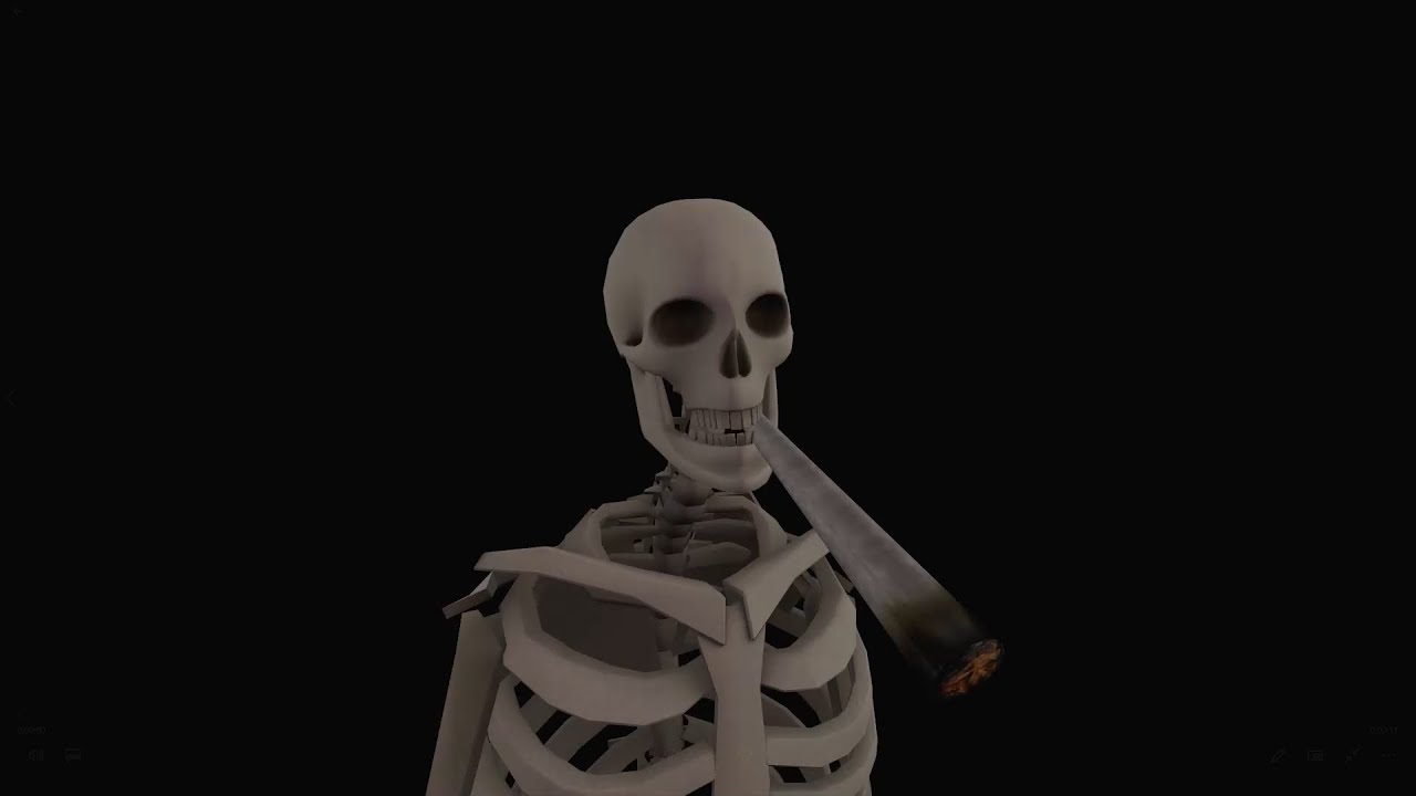 skeleton.mp4 - YouTube
