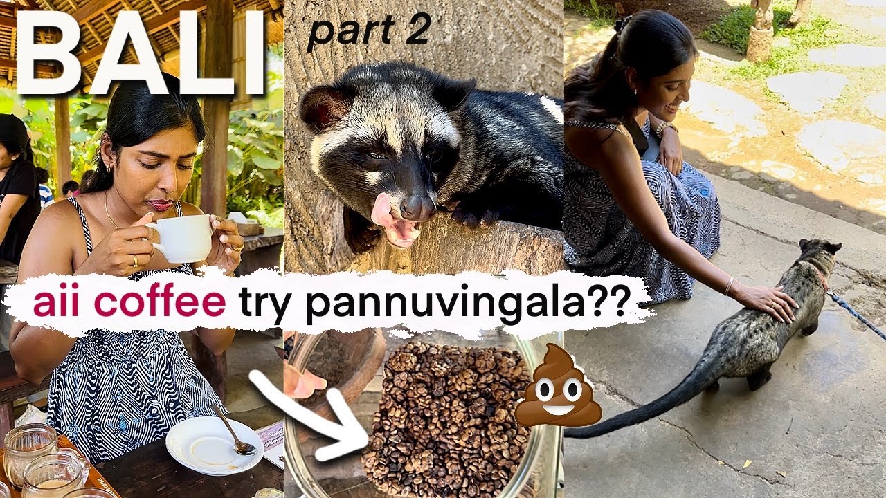 I Tried The 🤑WORLD’S MOST EXPENSIVE🤑 Poop Coffee💩☕️ | Ubud - YouTube