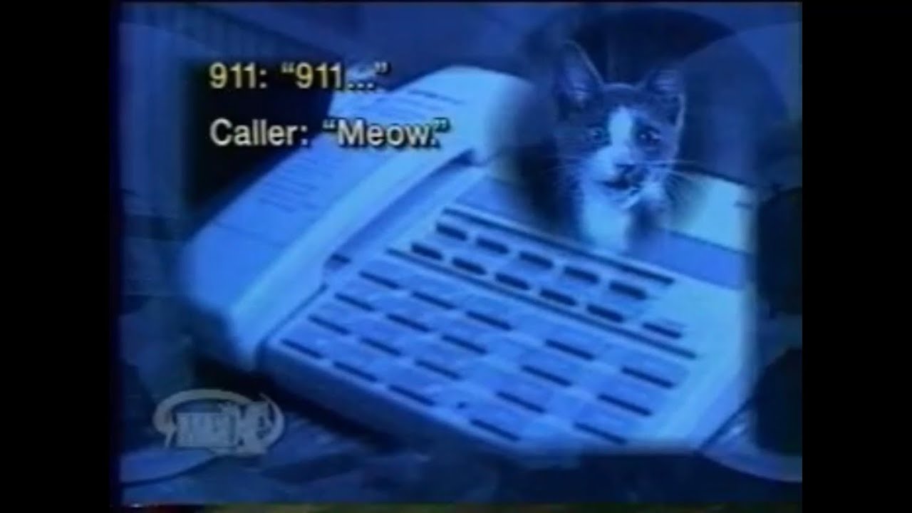 Cat Calls 9-1-1 - YouTube